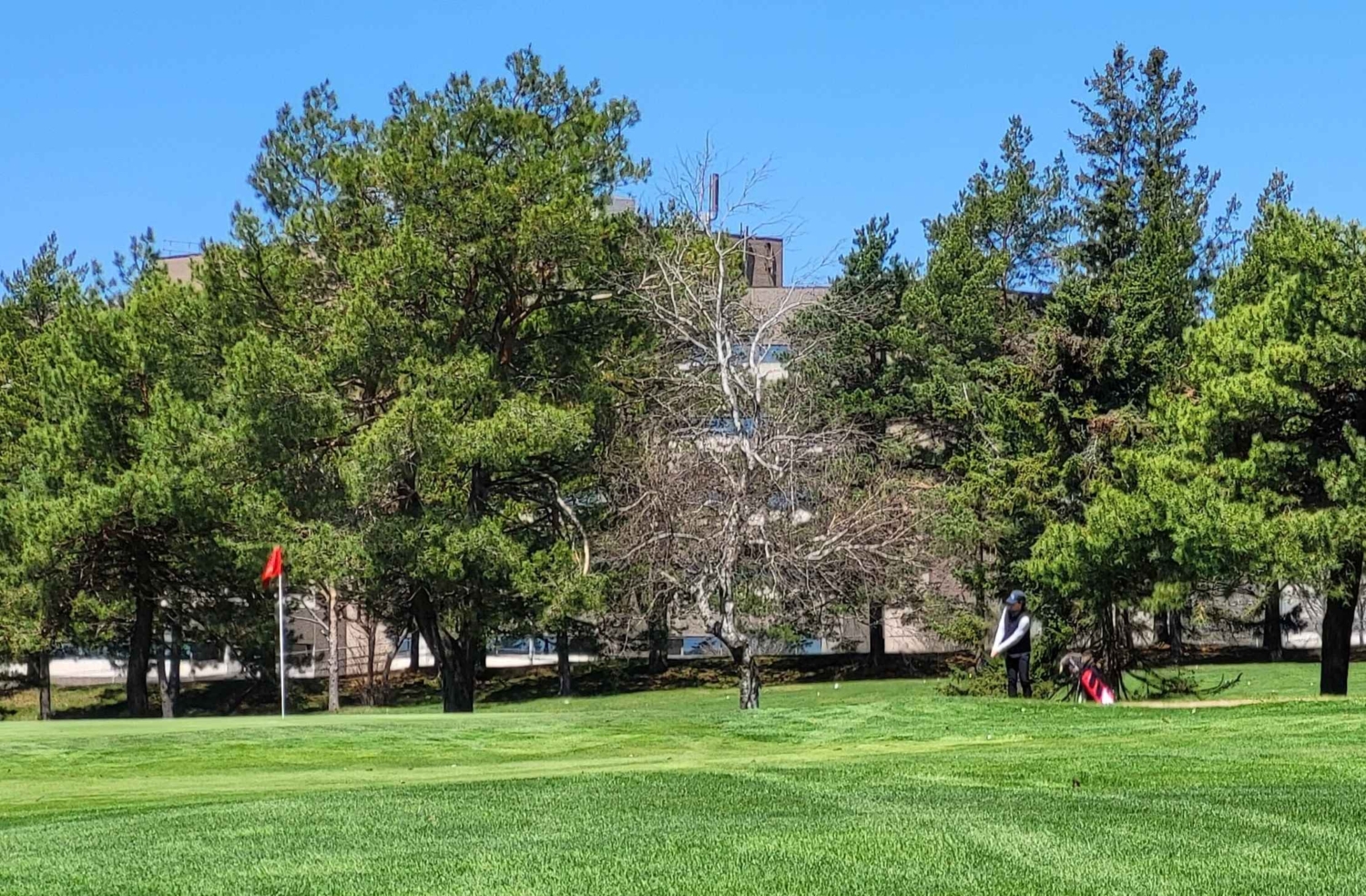 Le Club de golf Lévis vous souhaite la bienvenue! - Club de golf Lévis